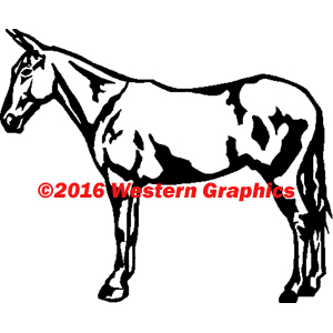 Mule – Style #24 – Western Graphics